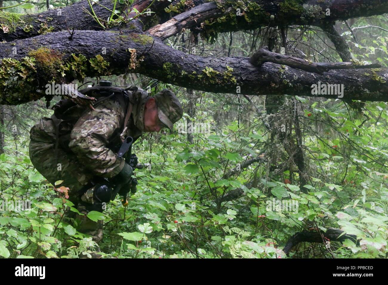 A paratrooper with A company, 1st Battalion, 501st Parachute Infantry ...