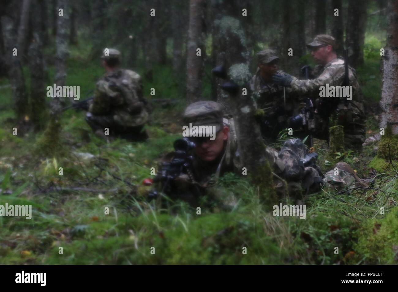 Paratrooper with A company, 1st Battalion, 501st Parachute Infantry ...