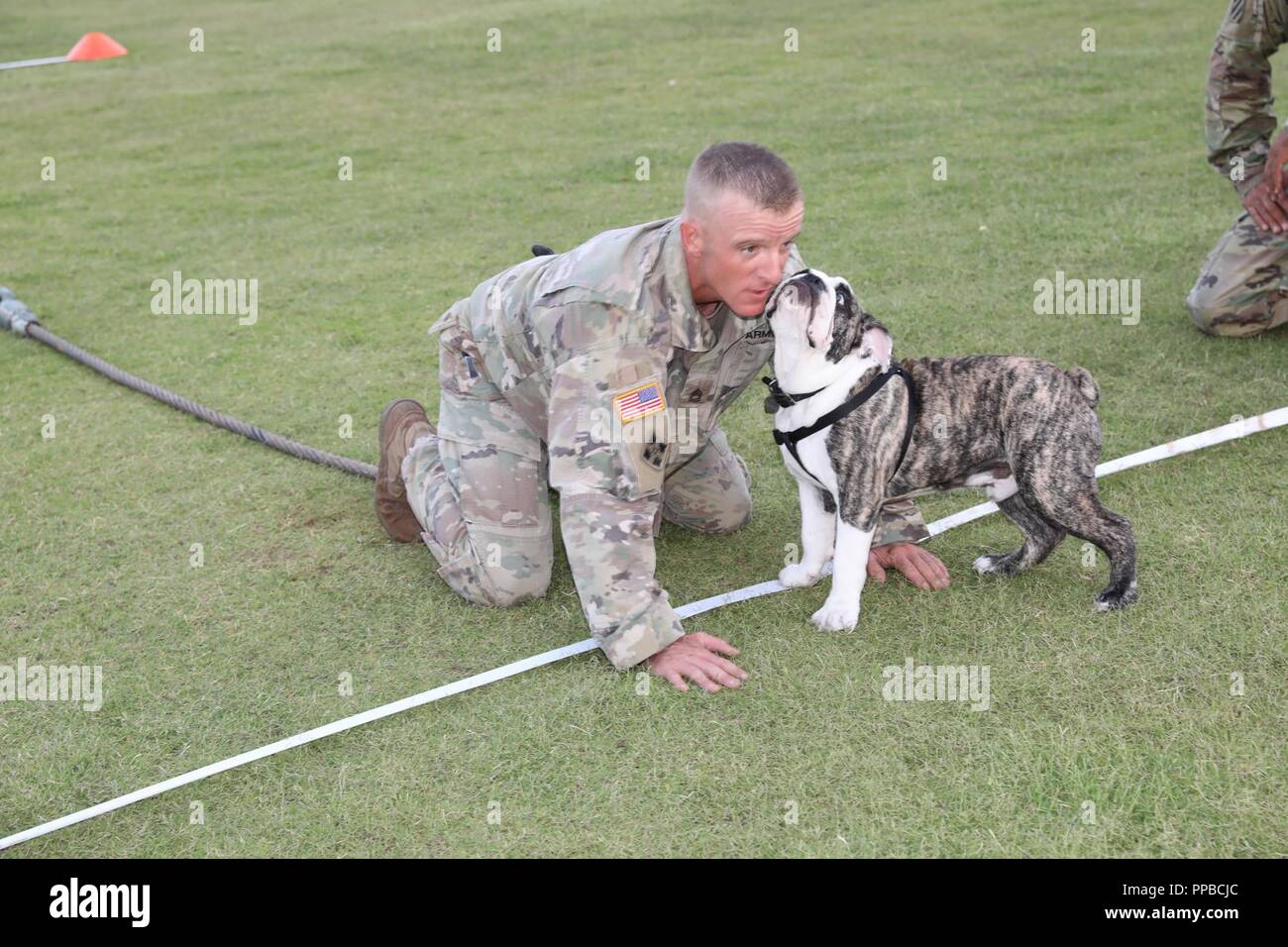 Physical combat proficiency test hi-res stock photography and images ...