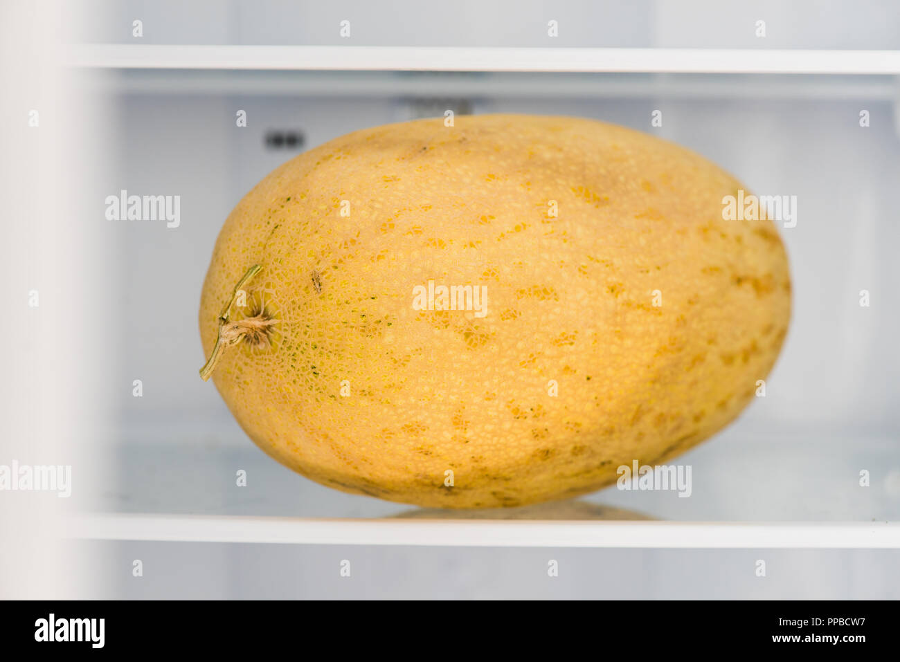 Whole oval melon at fridge close up Stock Photo - Alamy