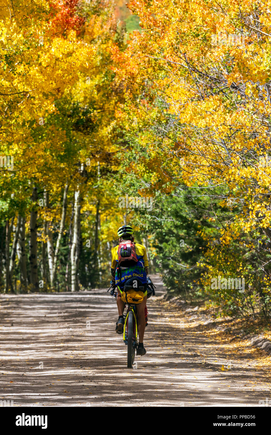 Male touring bicyclist on Marshall Pass Road, below Monarch Crest Trail ...