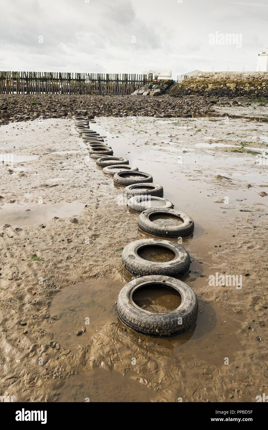 Line of old tyres at a North Shields, UK tidal beach to trap crabs and ...