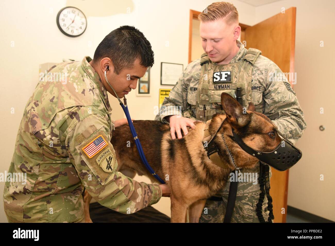 Army vet clinic hi-res stock photography and images - Alamy