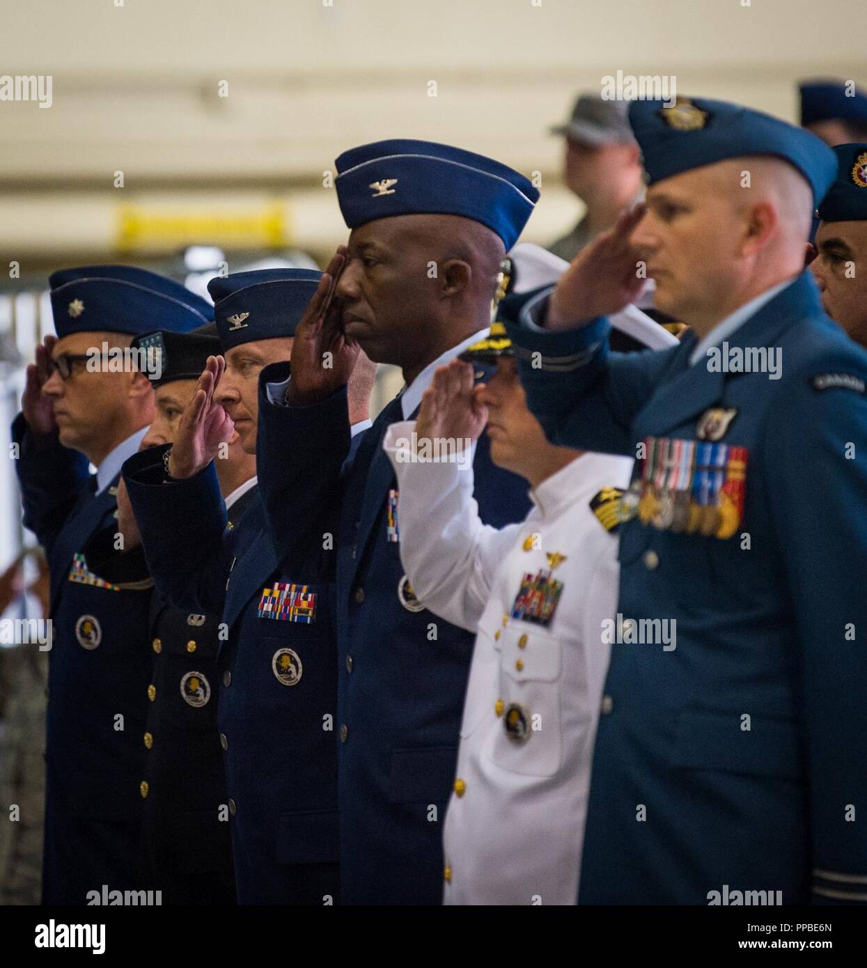 Joint service members render salutes during the singing of the national ...