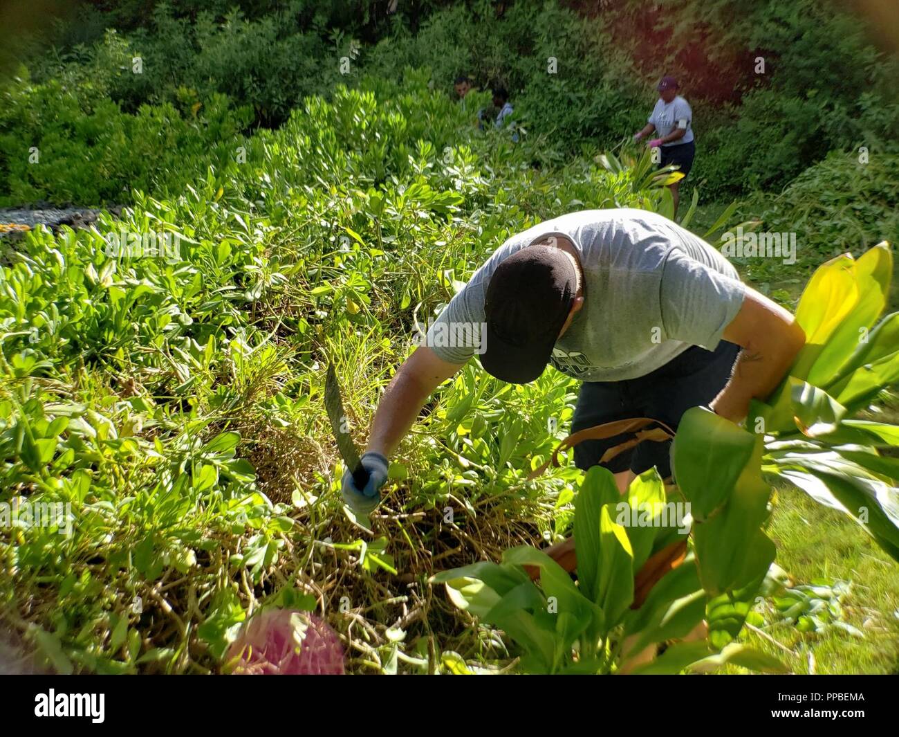 PEARL HARBOR (Aug. 18, 2018) – Logistics Specialist 1st Class Jarrett ...
