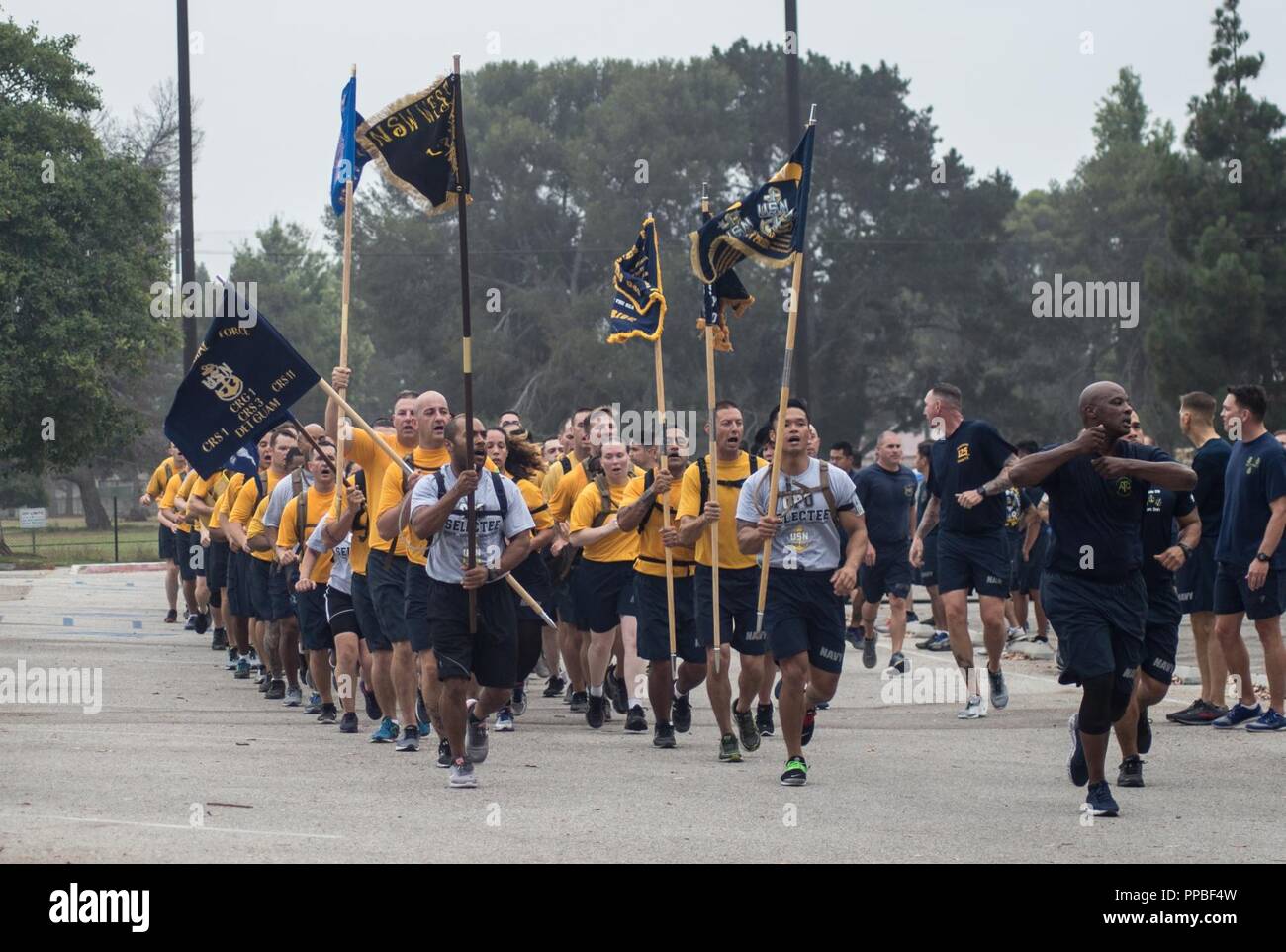 Cpo initiation hi-res stock photography and images - Alamy