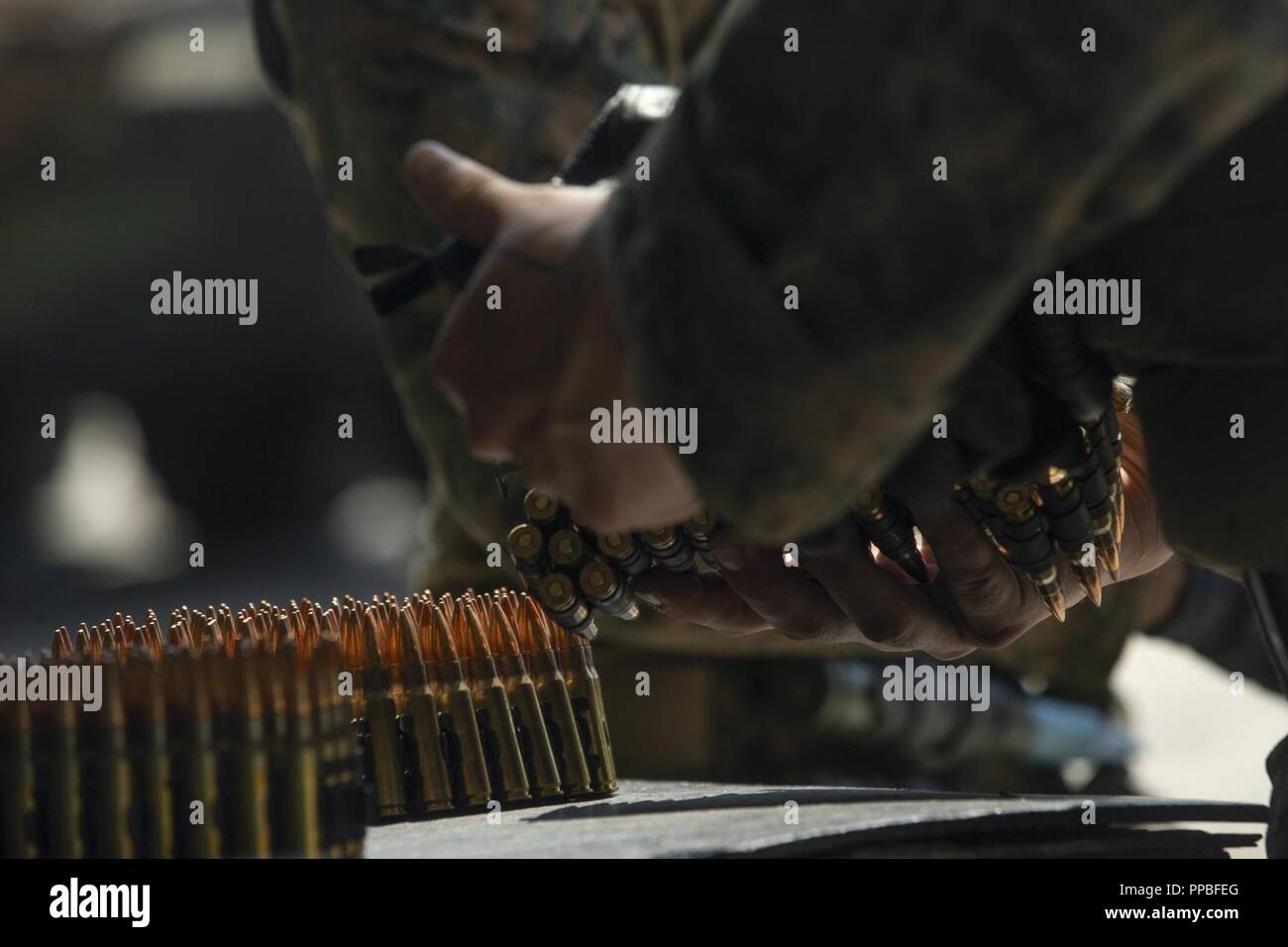 A U.S. Marine with Company A., 2nd Light Armored Reconnaissance ...