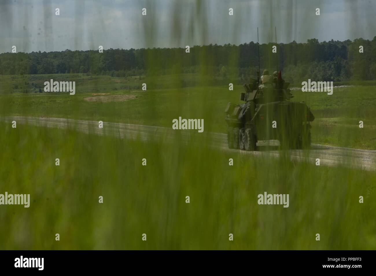 U.S. Marines with Company A., 2nd Light Armored Reconnaissance ...