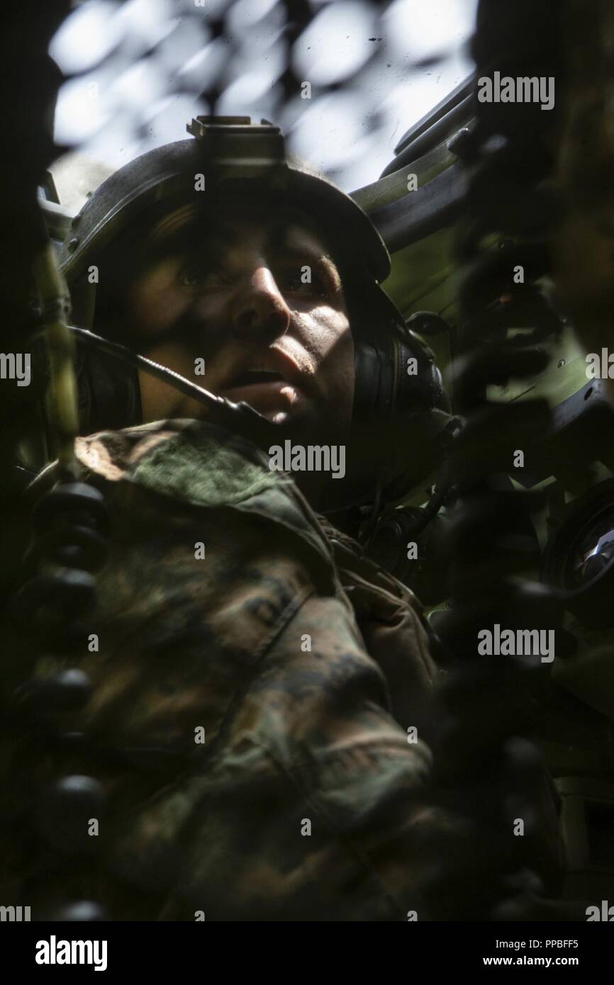 A U.S. Marine with Company A., 2nd Light Armored Reconnaissance ...