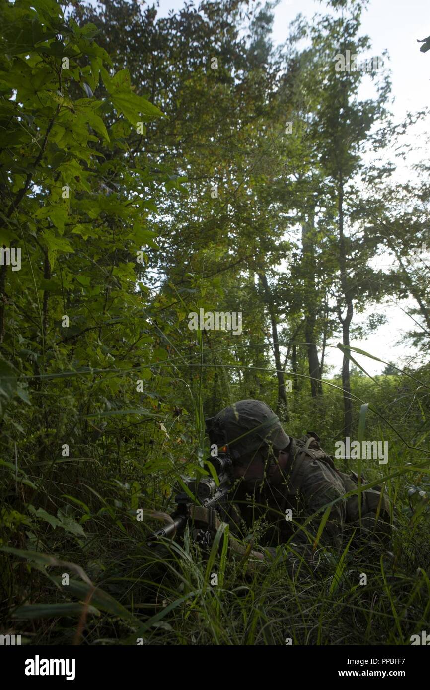 Armored reconnaissance scout vehicle hi-res stock photography and ...