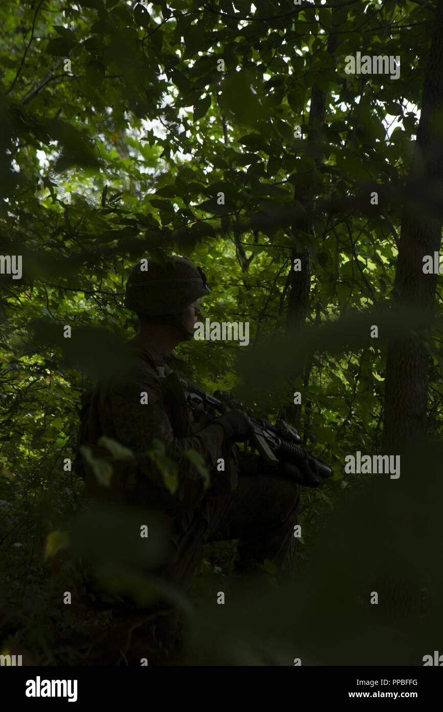 Armored Reconnaissance Scout Vehicle High Resolution Stock Photography ...
