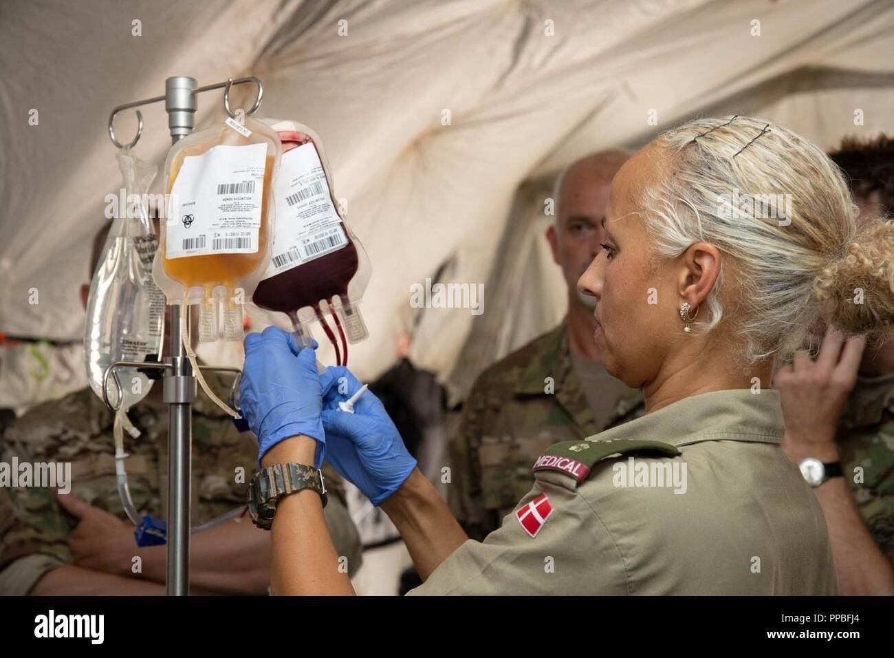 A Danish anesthetist prepares blood and plasma for resuscitation Stock ...