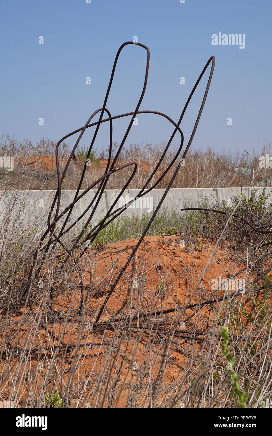 Raanana hi-res stock photography and images - Alamy