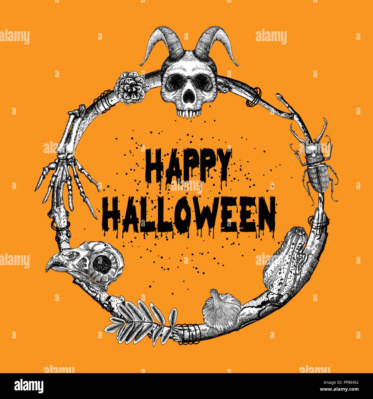 Happy Halloween Frames