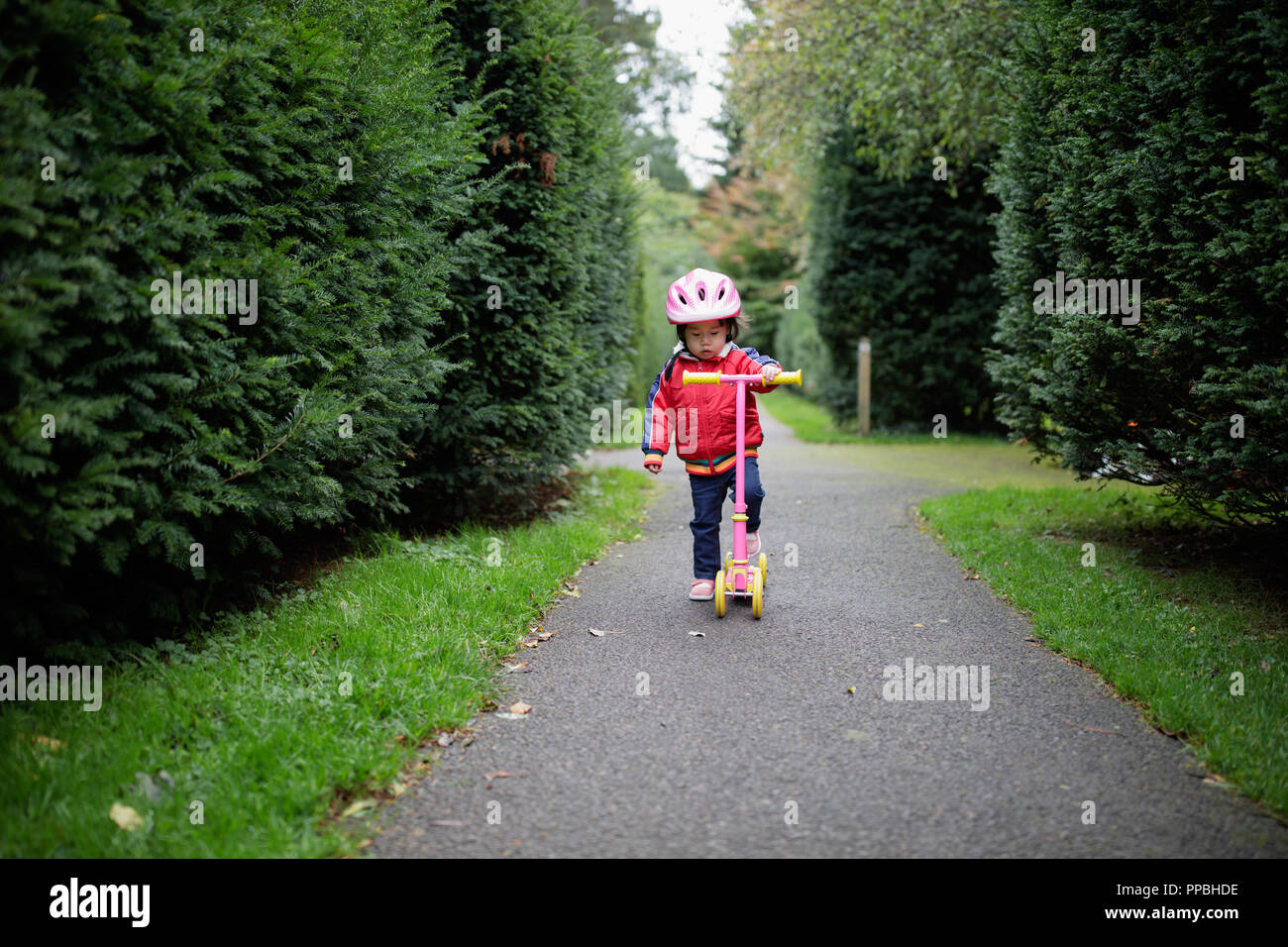 baby girl play scooter in forest park Stock Photo - Alamy