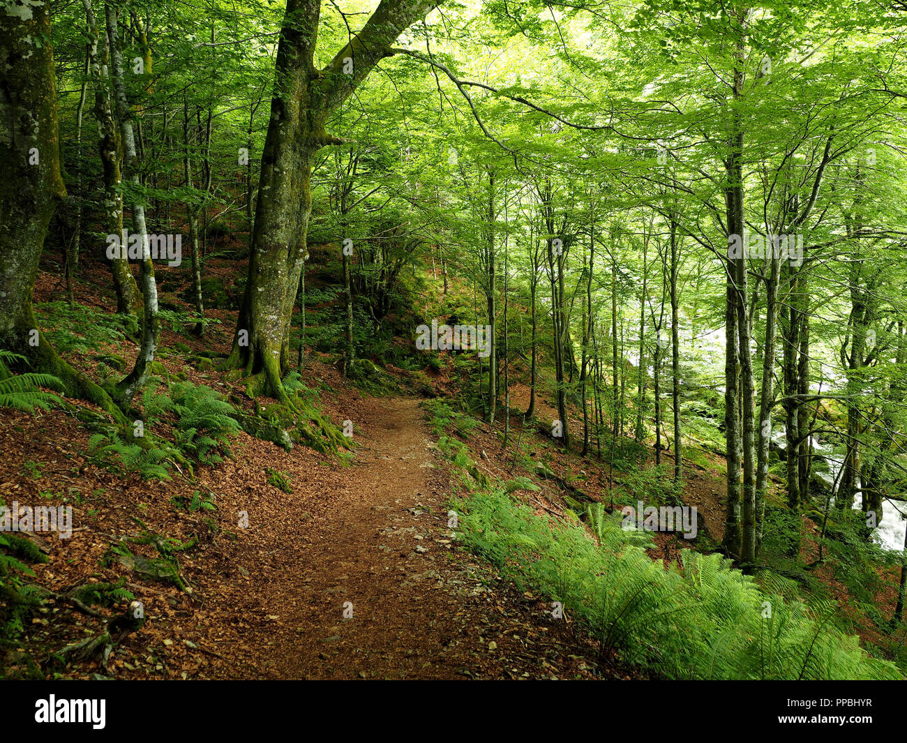 Gr10 hi-res stock photography and images - Alamy