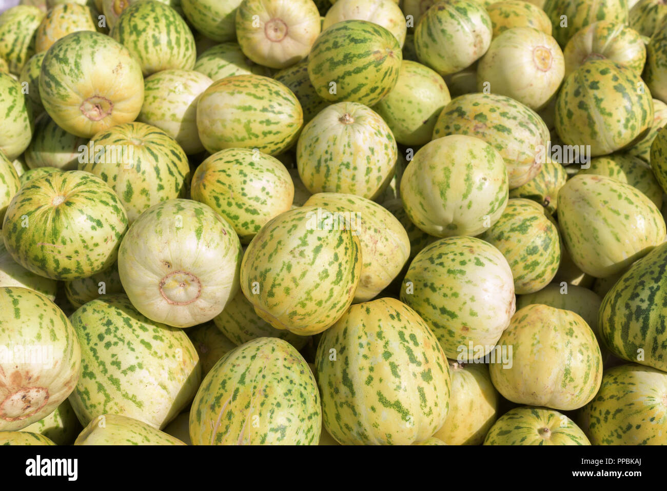 Bunch of small melons. Group of fresh ripe yellow sweet melons Stock ...