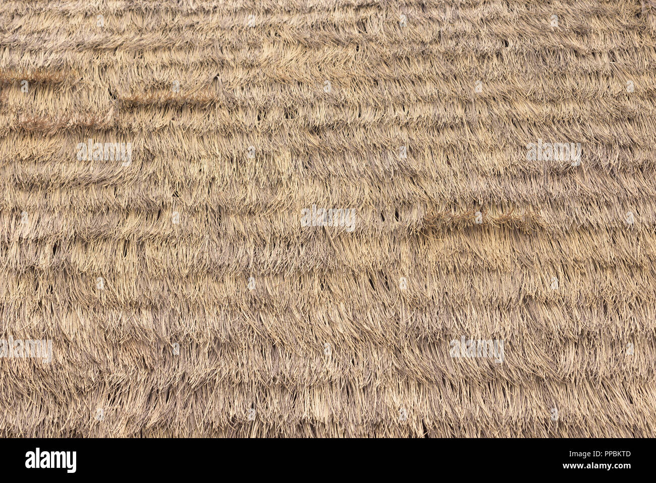 Straw roof. Roof surface made of straw Stock Photo - Alamy