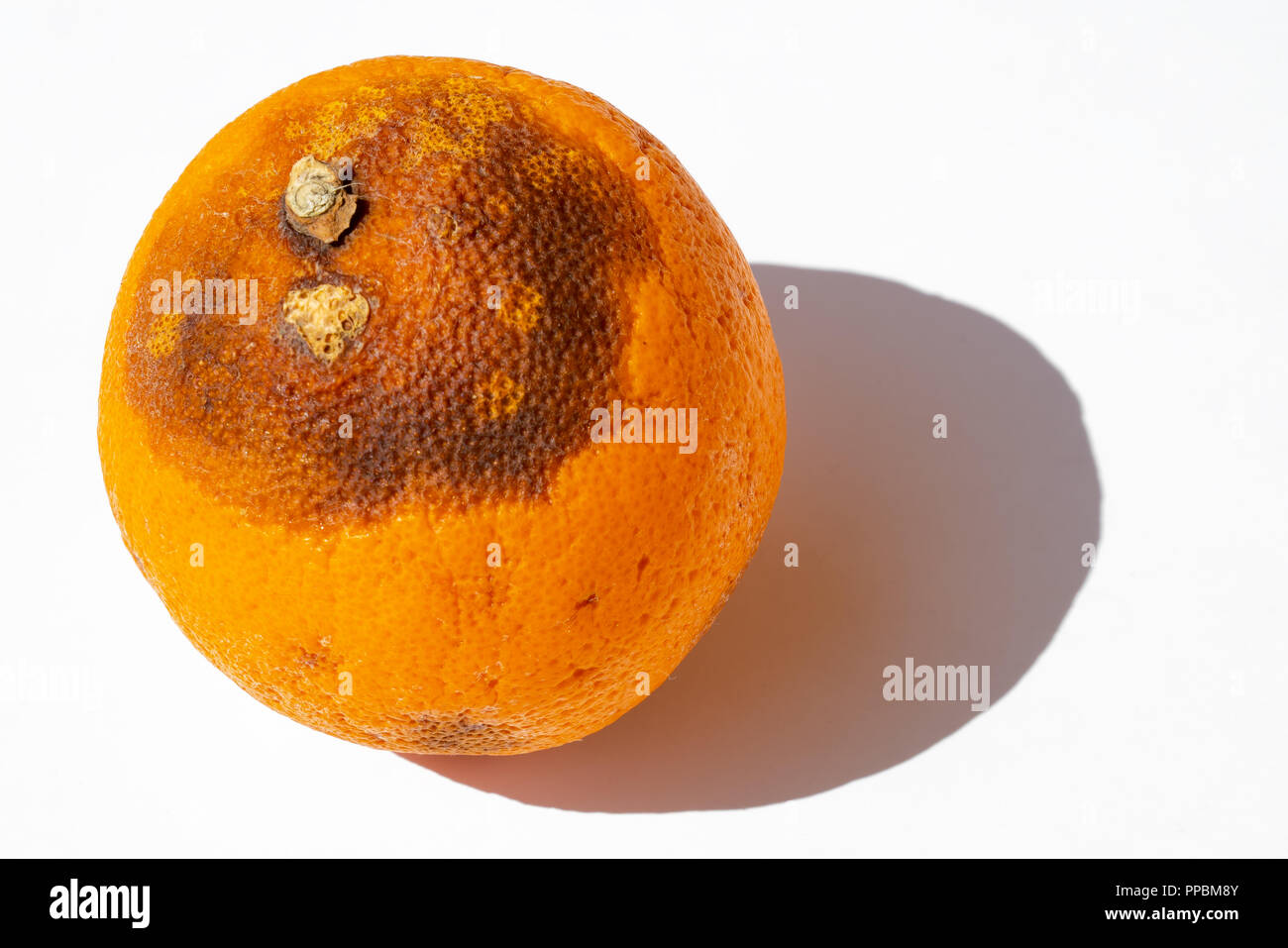 Orange with some color changed in the sun Stock Photo - Alamy
