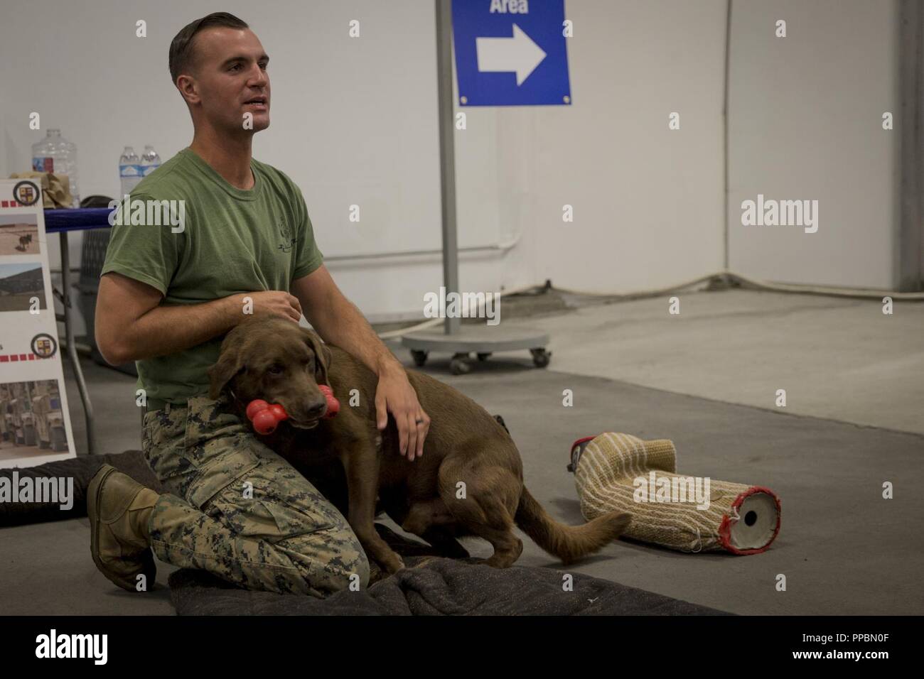U.S. Marine Corps Sgt. Cameron Soldano, a military working dog handler ...