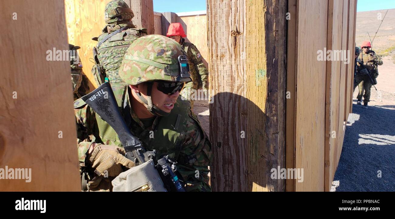 A Soldier from the 1st Infantry Regiment, Japanese Ground Self Defense ...