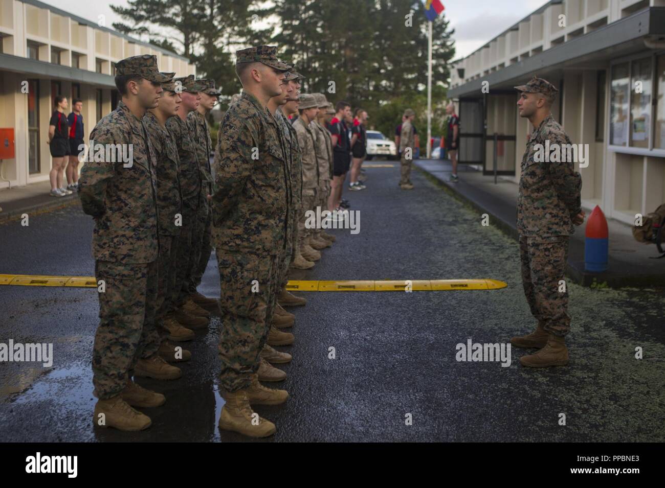 Joint assault signals company black hi-res stock photography and images ...