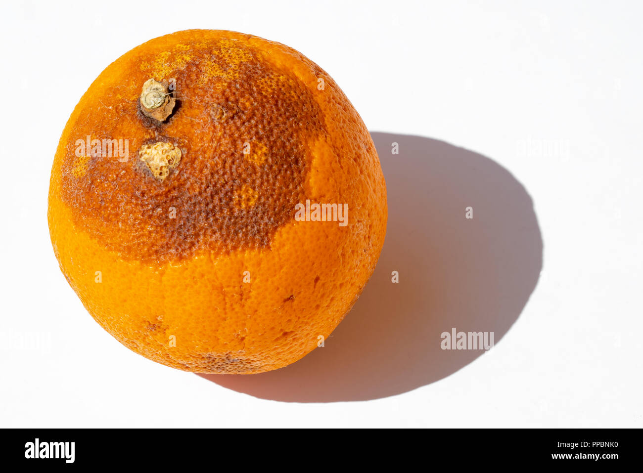 Orange with some color changed in the sun Stock Photo - Alamy