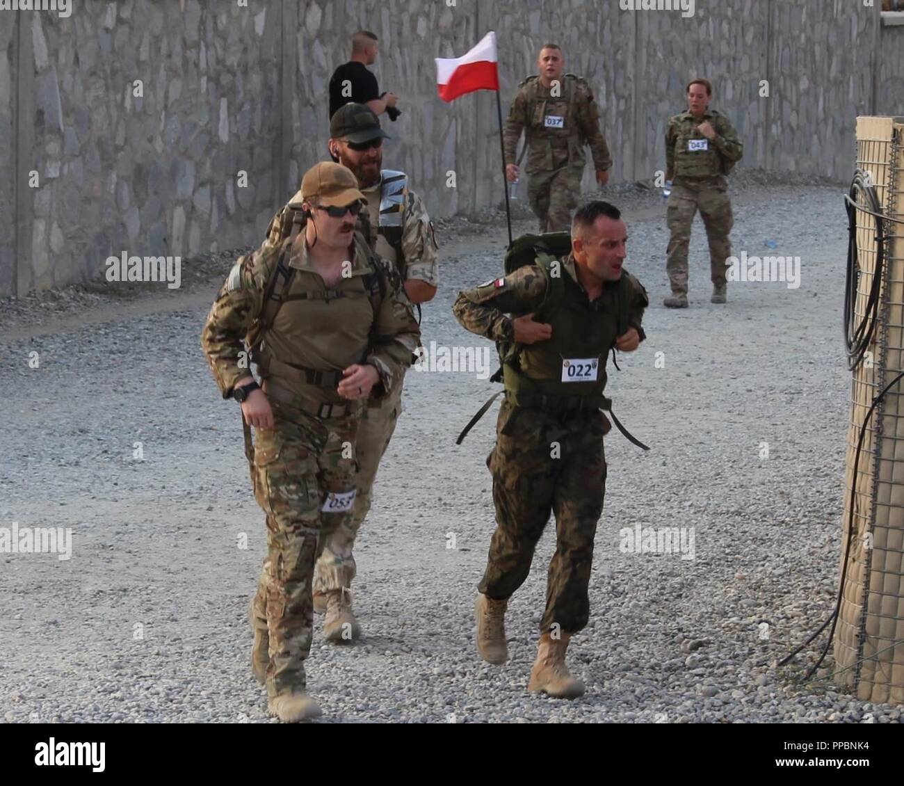 Task force white eagle hi-res stock photography and images - Alamy