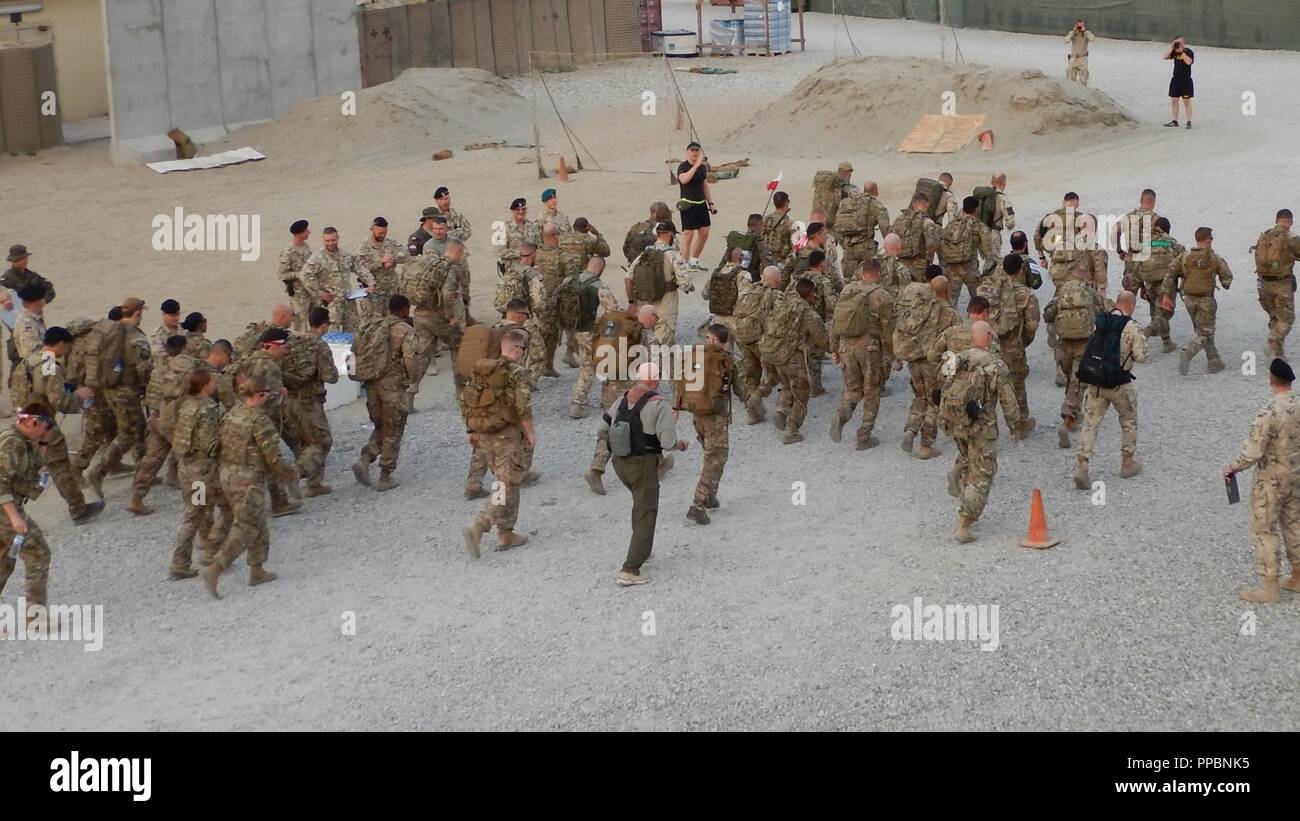 Task force white eagle hi-res stock photography and images - Alamy