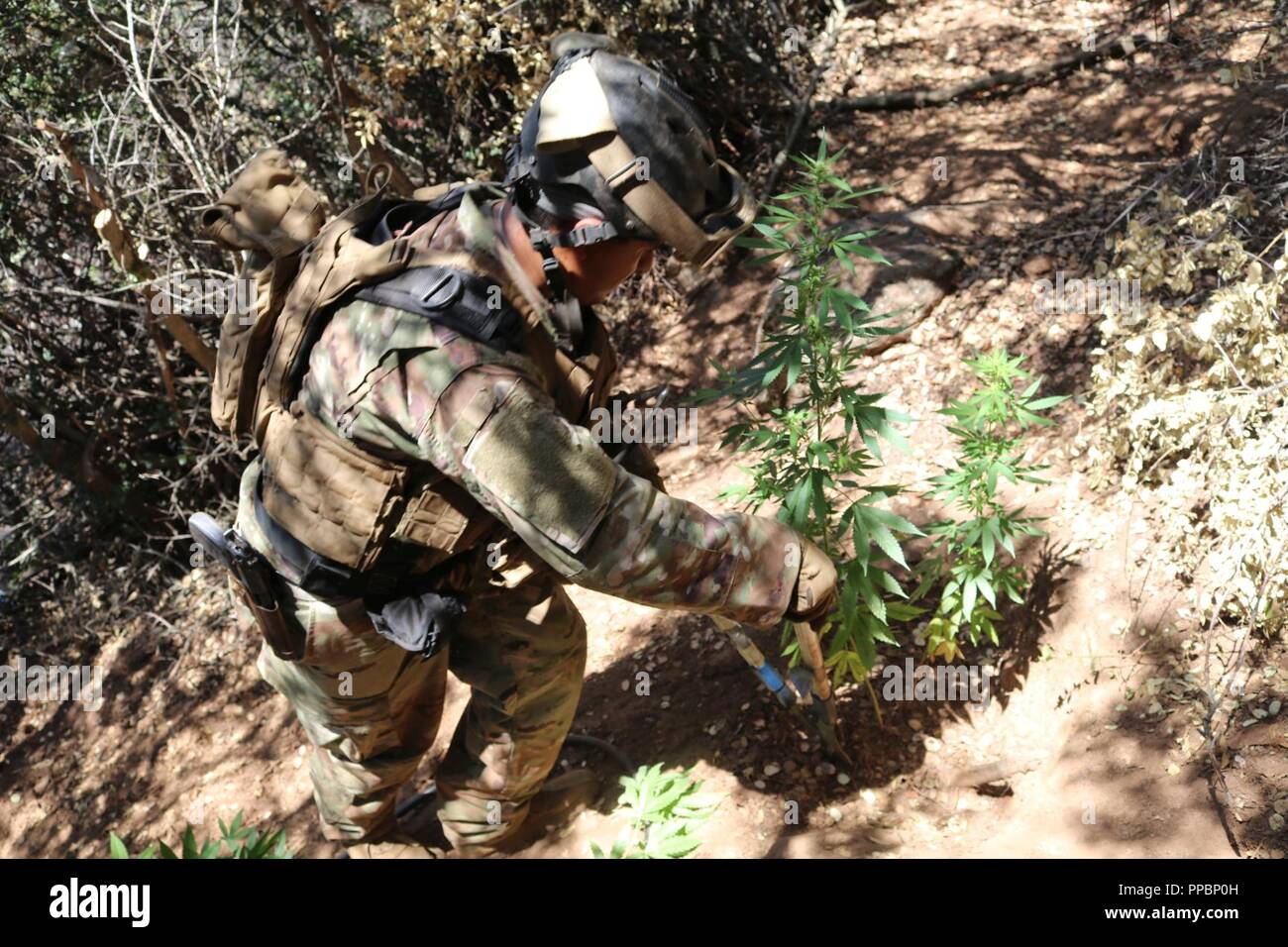 National guard bureau counterdrug hi-res stock photography and images ...