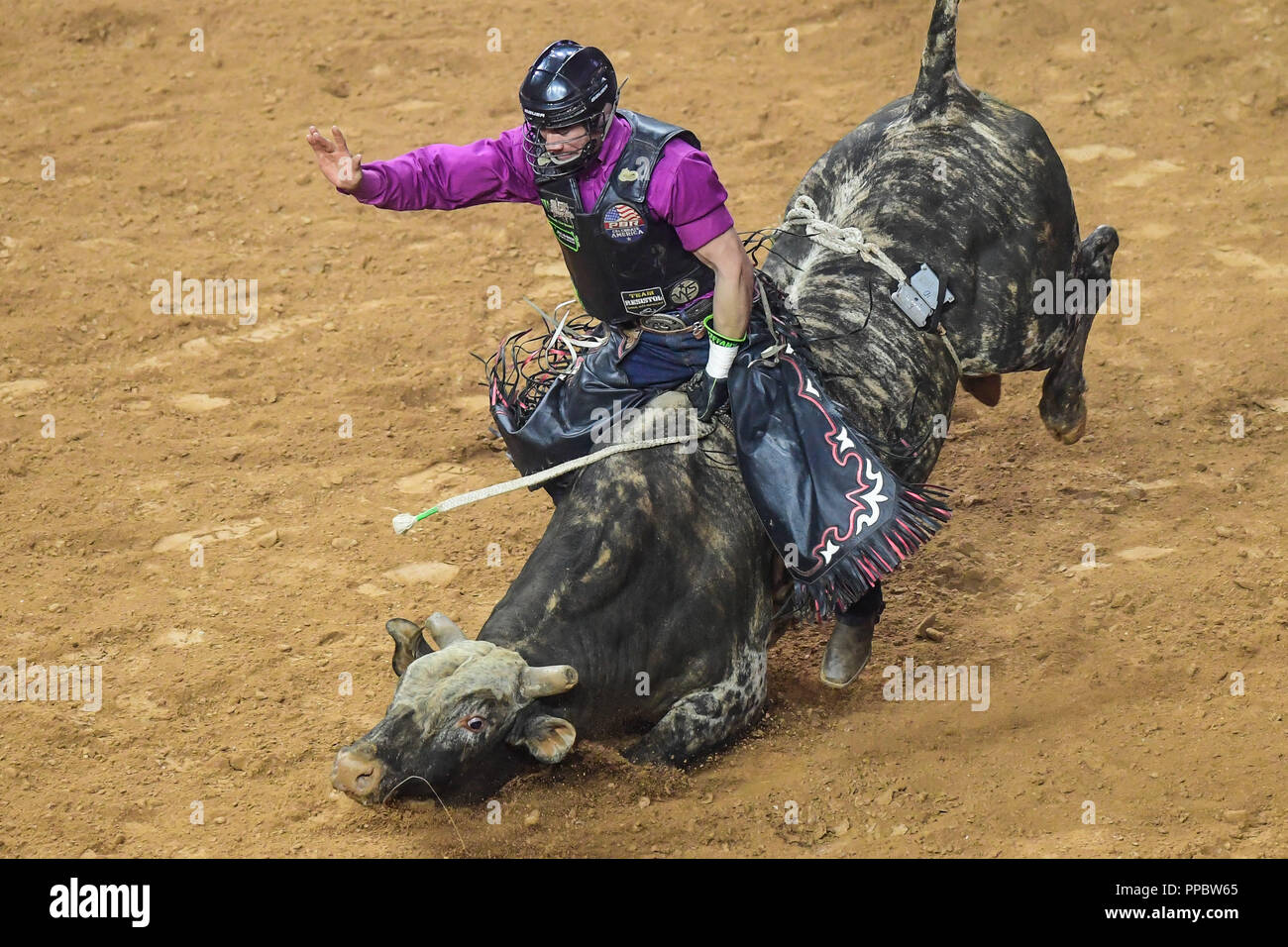 Fairfax, Virginia, USA. 23rd Sep, 2018. RAMON DE LIMA rides a bull ...