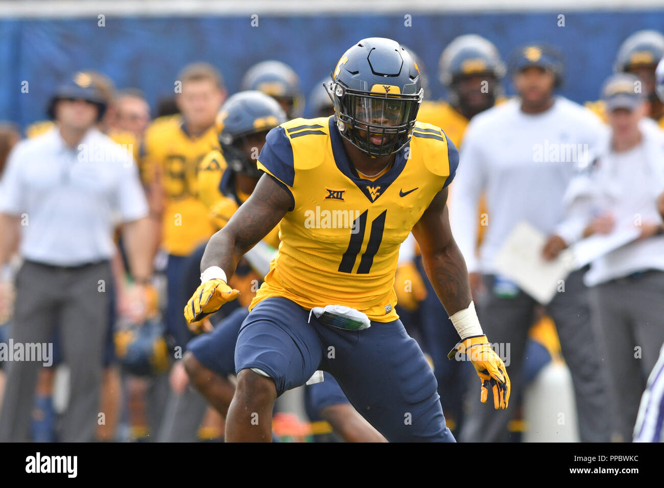 David long jr hi-res stock photography and images - Alamy