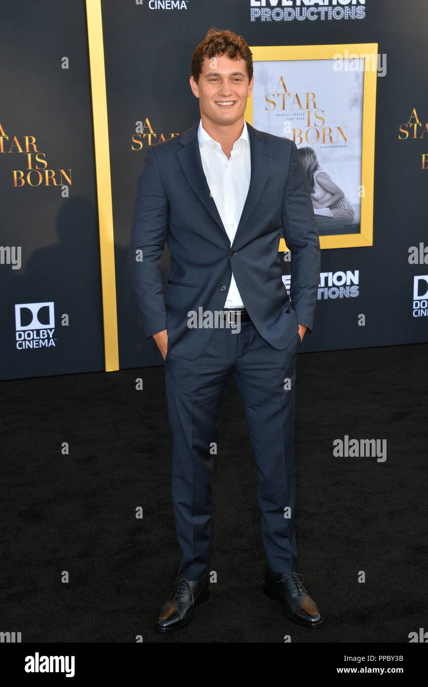 Rafi Gavron Stock Photos & Rafi Gavron Stock Images - Alamy