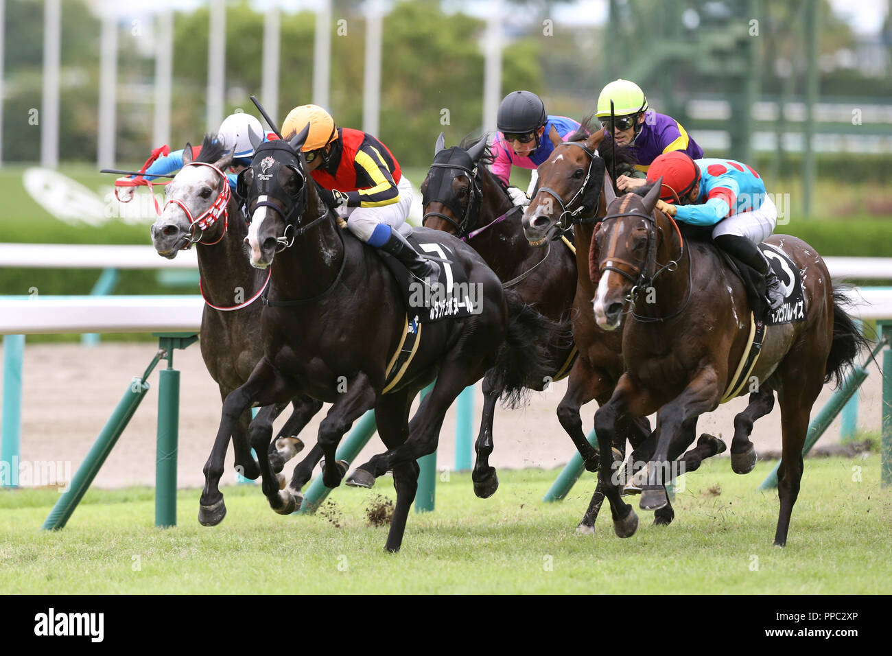 Knight Banneret High Resolution Stock Photography and Images - Alamy