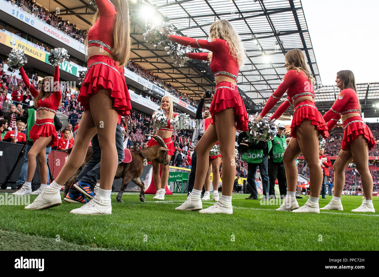 25 September 2018, North Rhine-Westphalia, Cologne: Soccer: 2nd ...
