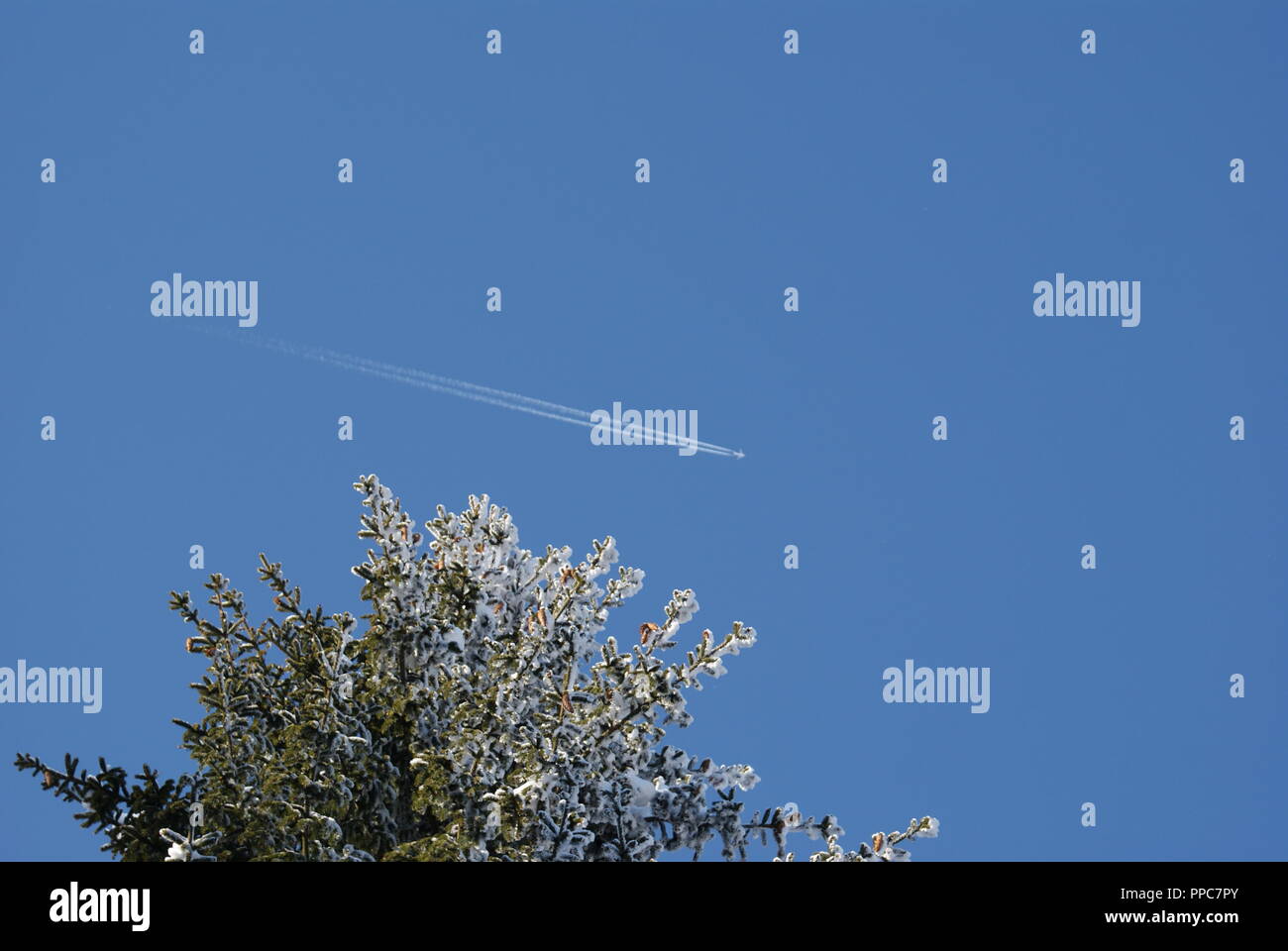 Fly over tree hi-res stock photography and images - Alamy