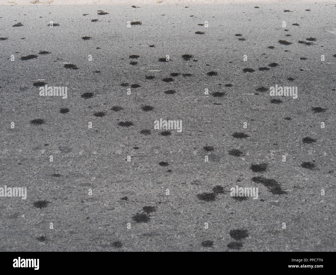 background of dry asphalt with rain water drops Stock Photo - Alamy