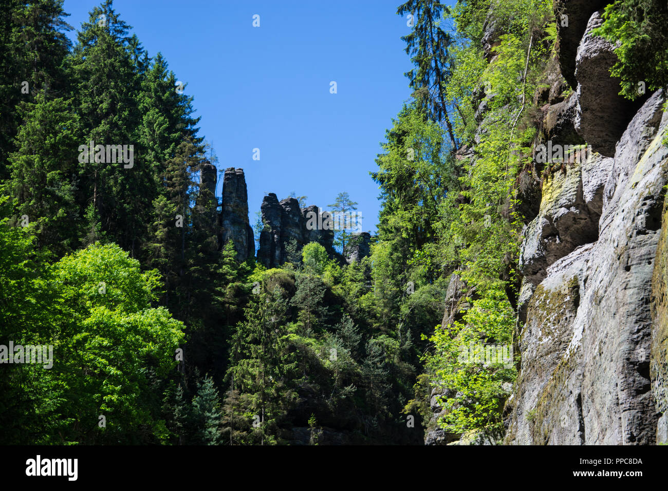The Kamnitz Gorge, Czech: Soutesky Kamenice, German: Kamnitzklamm or ...