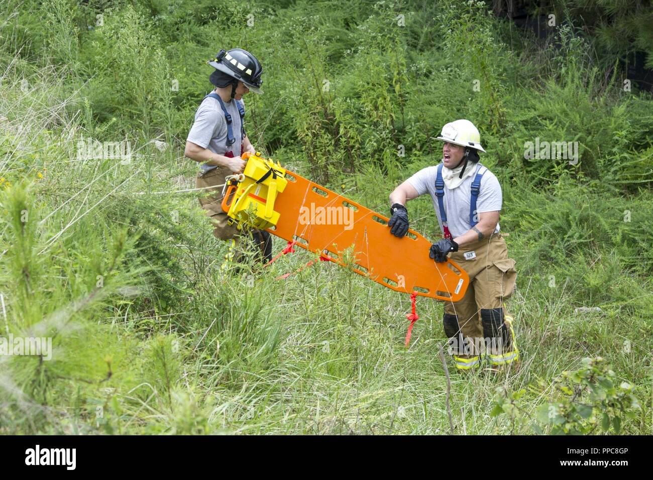 Litter service station hi-res stock photography and images - Alamy