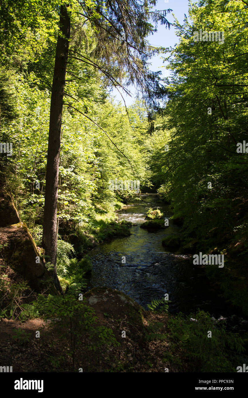 The Kamnitz Gorge, Czech: Soutesky Kamenice, German: Kamnitzklamm or ...