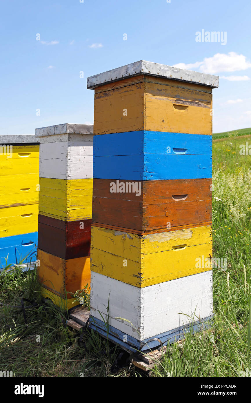Painted beehives hi-res stock photography and images - Alamy