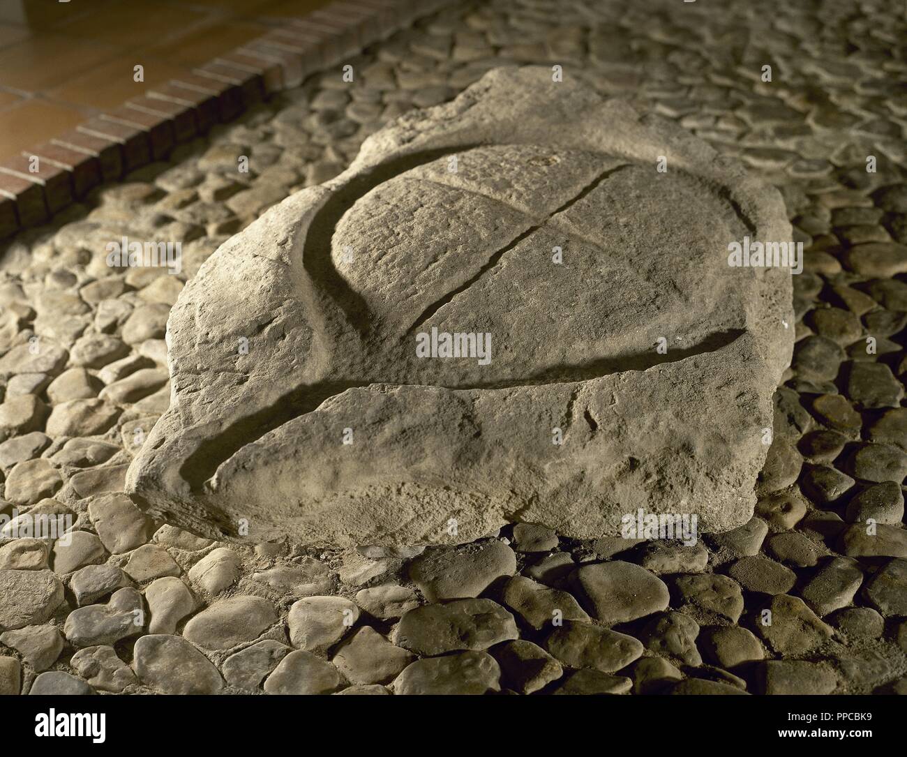 Roman wine hi-res stock photography and images - Alamy