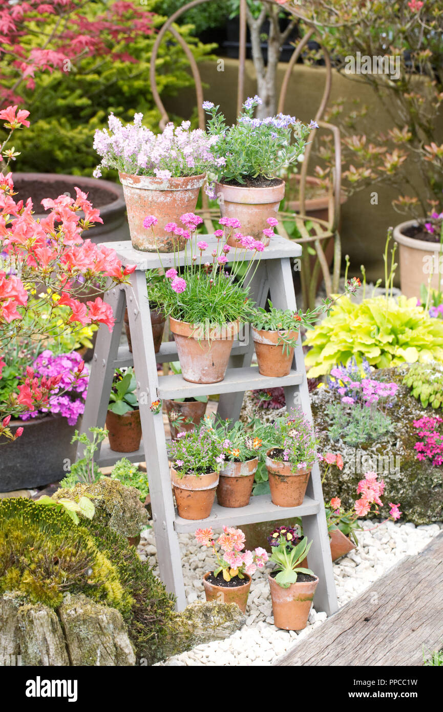 Ornamental plants display hi-res stock photography and images - Alamy