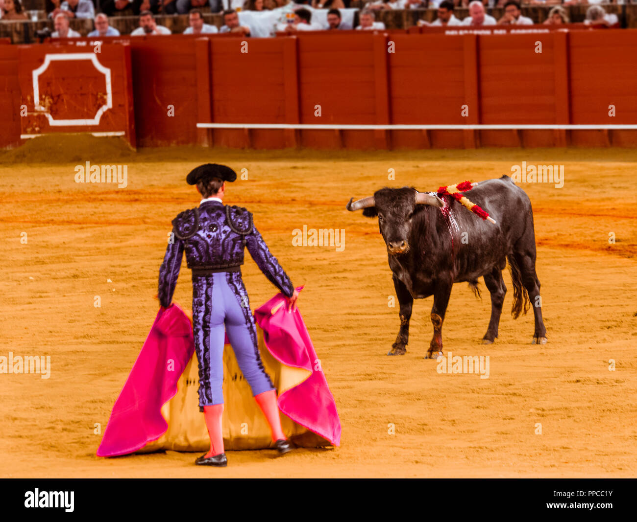 Bullfighter torero stands hi-res stock photography and images - Alamy