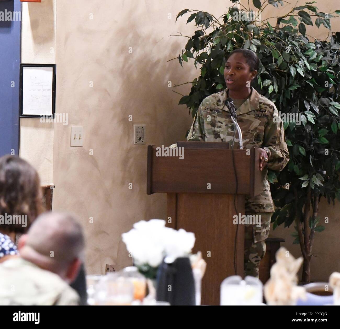 Command Sgt. Maj. Kendra St. Helen, the 210th Brigade Support Battalion ...