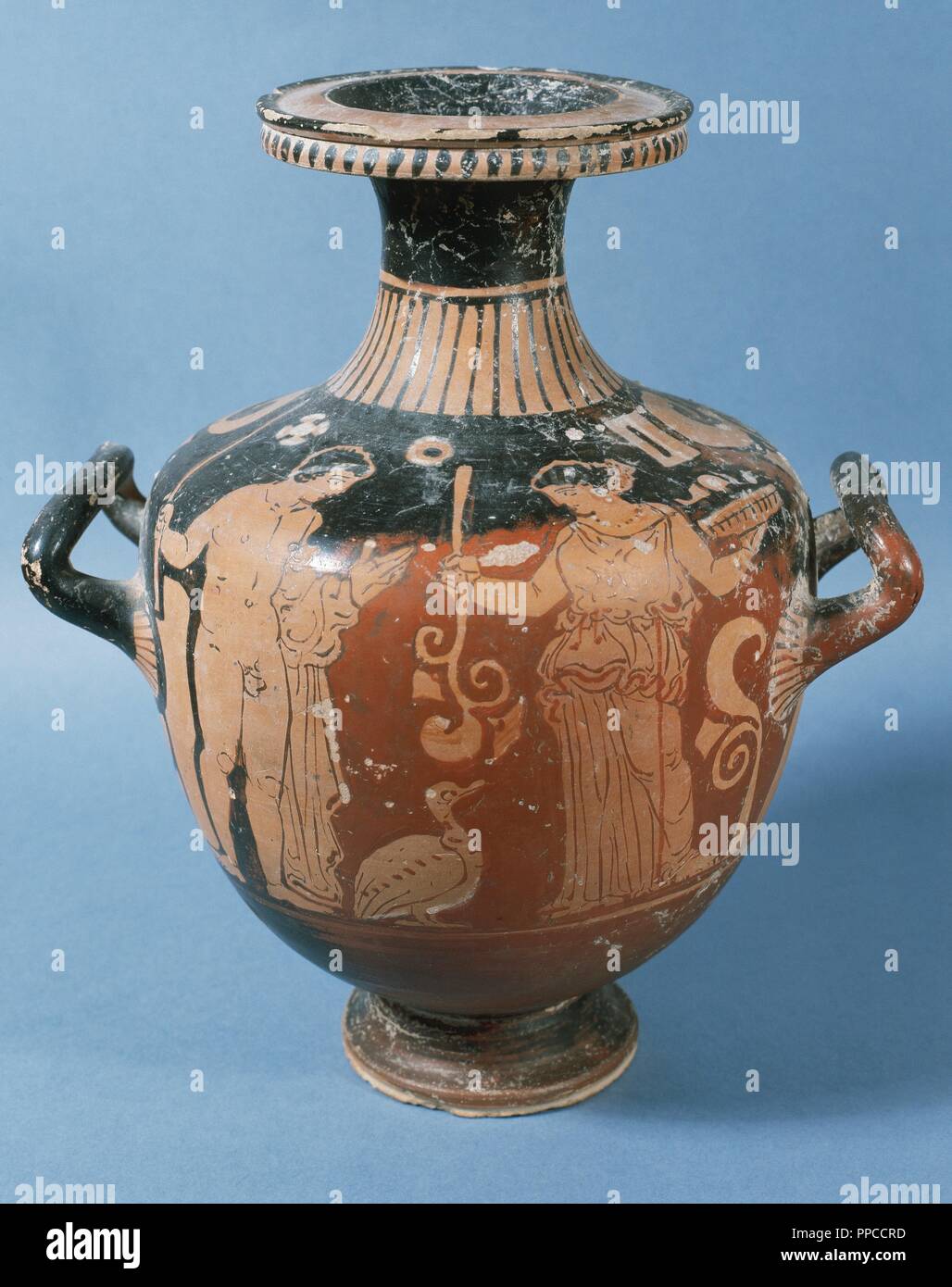 Pelike hi-res stock photography and images - Alamy