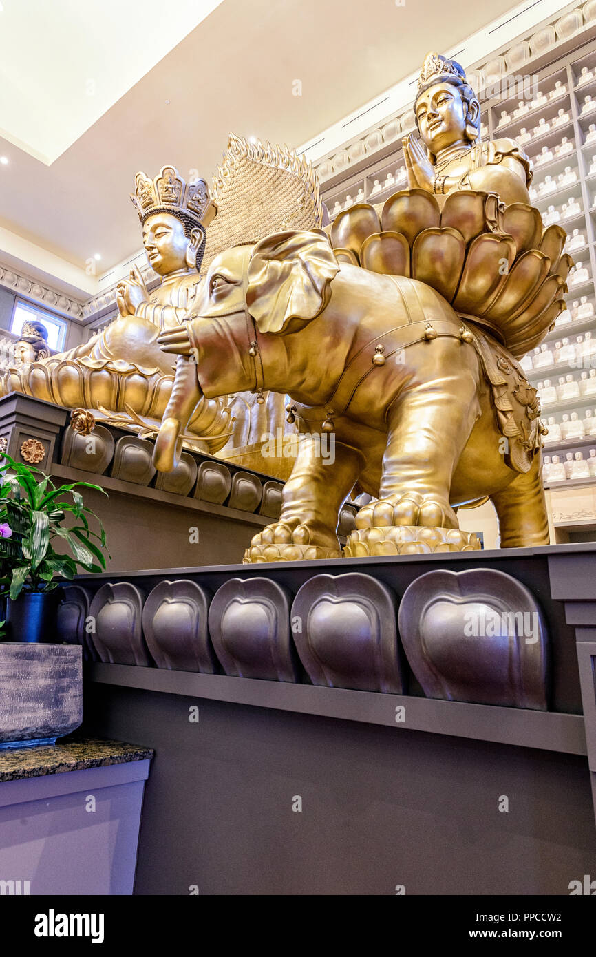 Dharma hall hi-res stock photography and images - Alamy