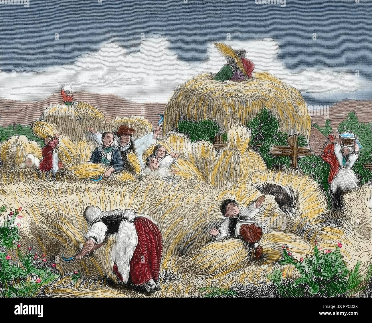 19th century agriculture woman hi-res stock photography and images - Alamy