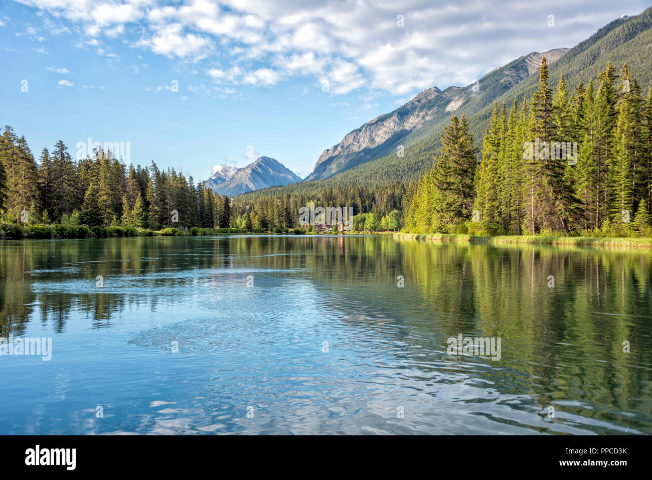 Bow River, Banff National Park, Alberta, Canada Stock Photo - Alamy