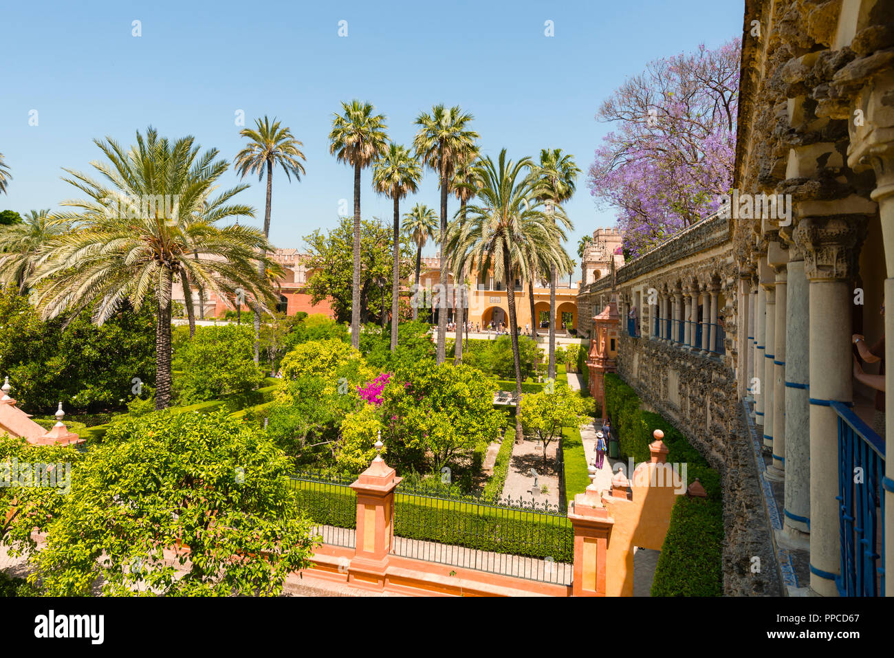 Gardens with palm trees in the Alcazar, Royal Palace of Seville ...